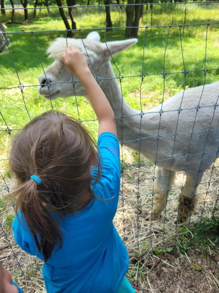 Beacon After School Programs - Commonpoint