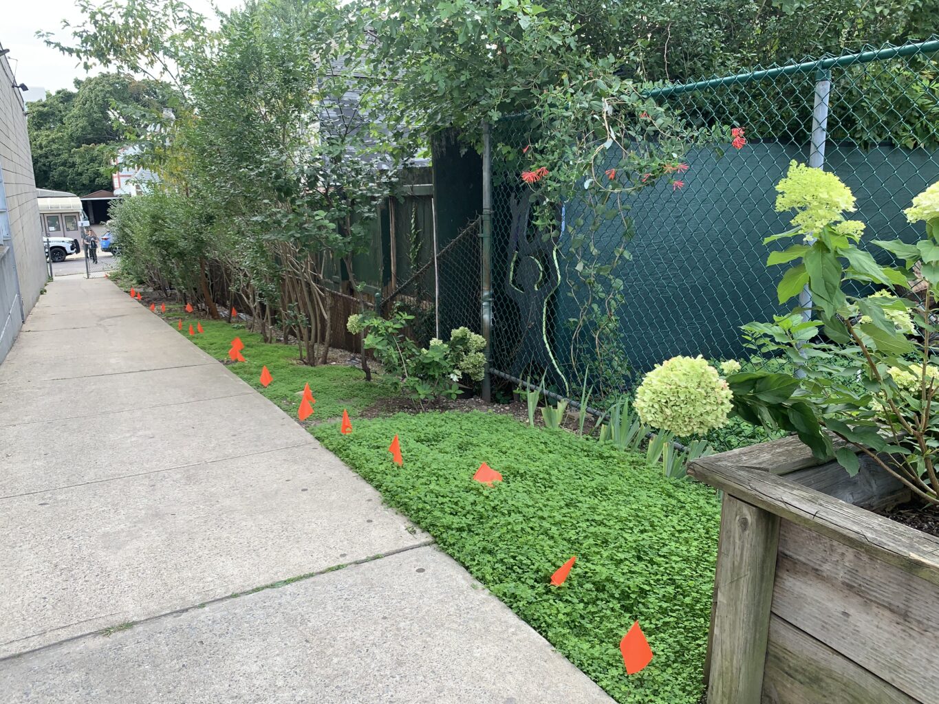 Common Ground Gardening Blog: Reflecting on Our Commonpoint Grounds ...